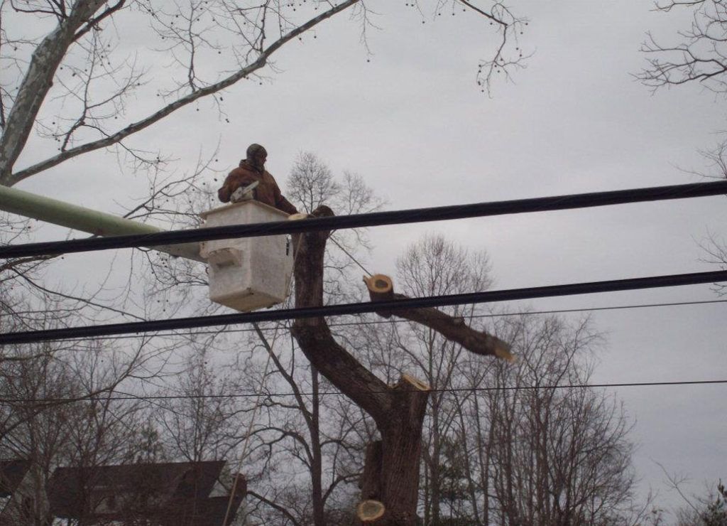 Meet Our Team at C&A Tree Service | Serving Ohio, KY, and WV